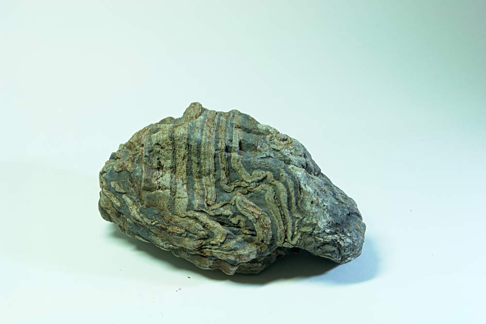 Migmatite ? - Roche et pétrographie - Géoforum