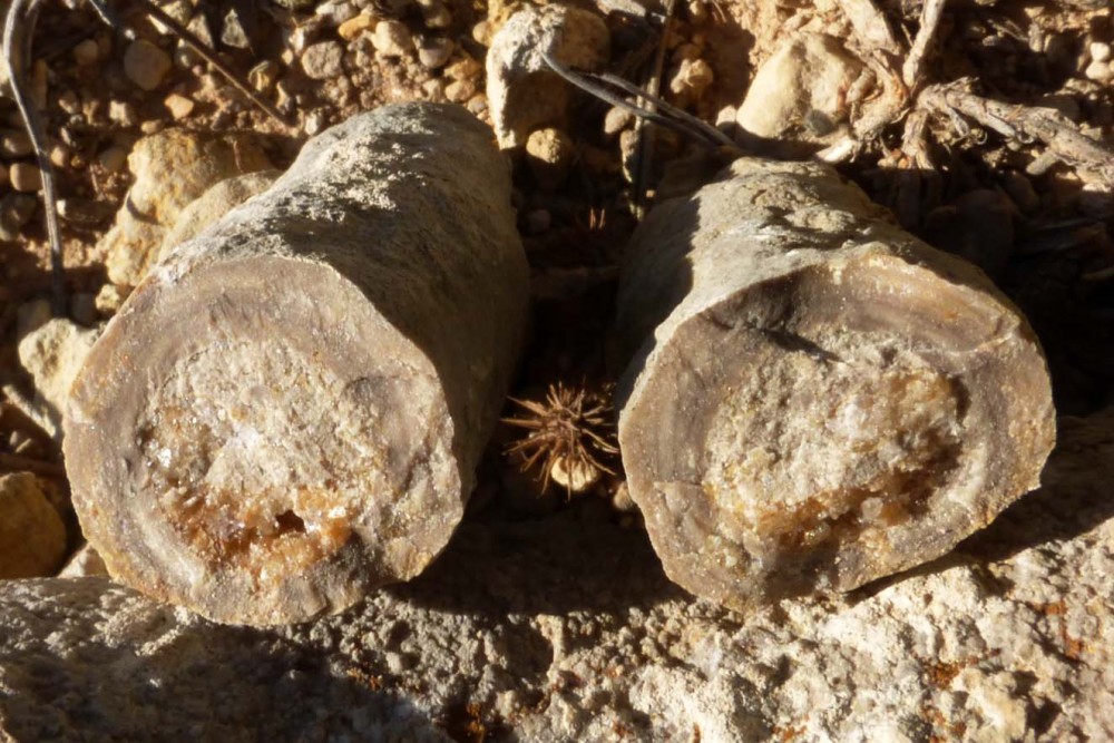 Oolithes, pisolites, oncolites - Roche et pétrographie - Géoforum